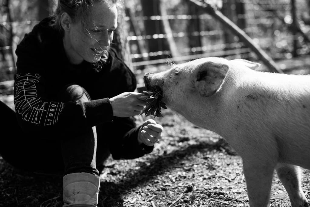 Lea de Zwart Has Found Her Life Purpose Advocating for Animals in the ...